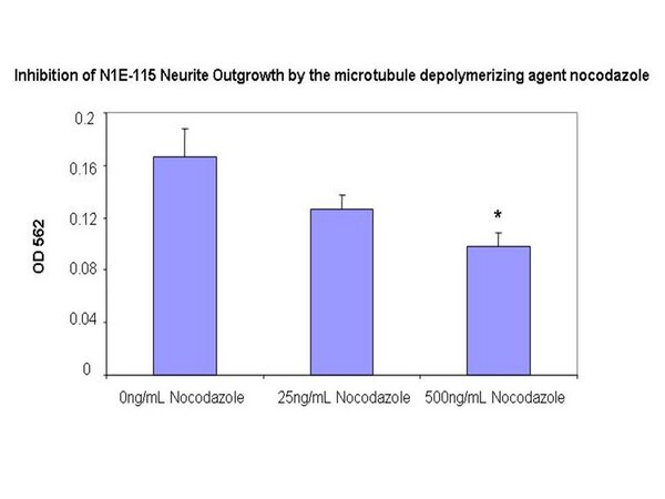 Neurite Outgrowth Assay Kit (3 µm) | NS220